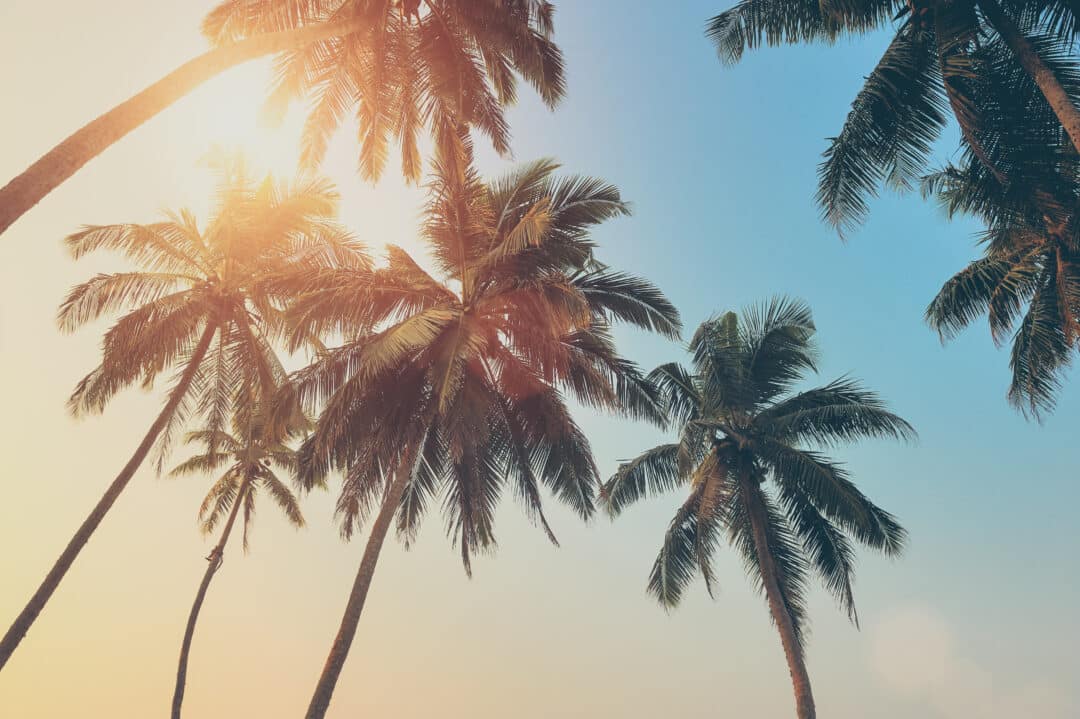 Contact Us - Precision Container Services